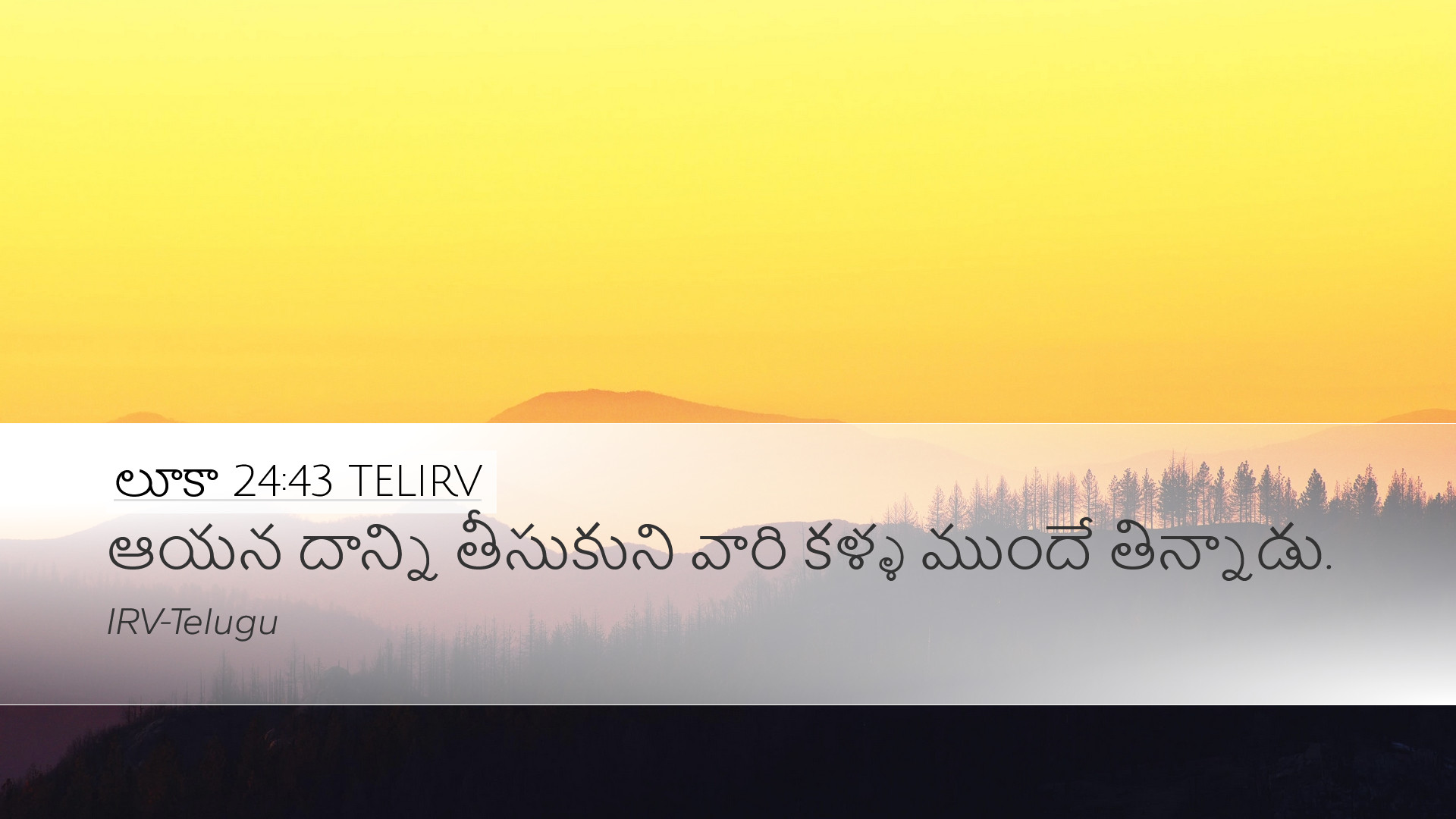 లూకా 24:43 TELIRV Desktop Wallpaper - ఆయన దాన్ని