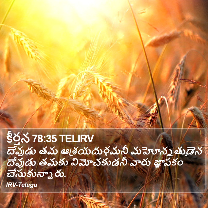 కీర్తన 78:35 TELIRV - దేవుడు తమ