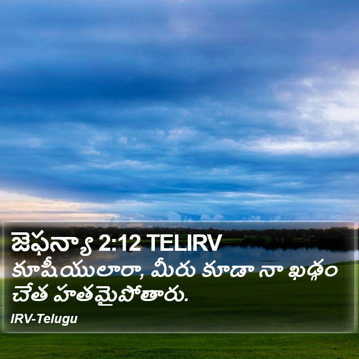 జెఫన్యా 2:12 TELIRV - కూషీయులారా, మీరు