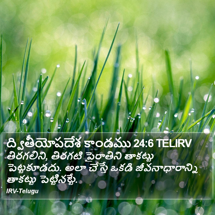 ద్వితీయోపదేశ కాండము 24:6 TELIRV - తిరగలిని, తిరగటి