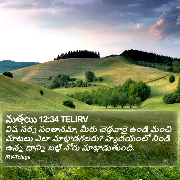మత్తయి 12:34 TELIRV - విష సర్ప సంతానమా,