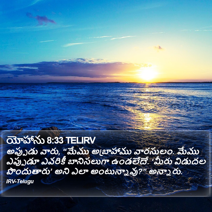యోహాను 8:33 TELIRV - అప్పుడు వారు,