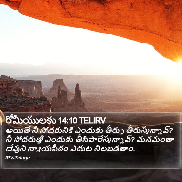 రోమీయులకు 14:10 TELIRV - అయితే నీ