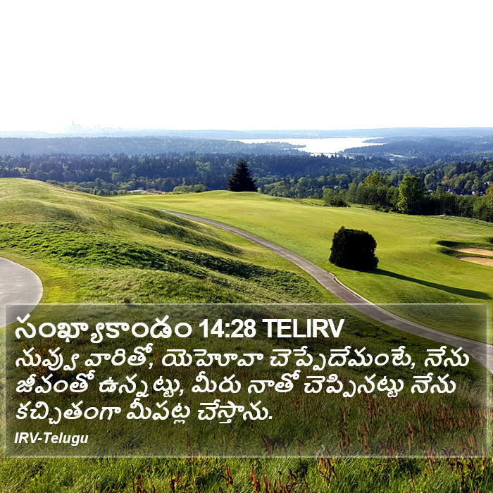 సంఖ్యాకాండం 14:28 TELIRV - నువ్వు వారితో,