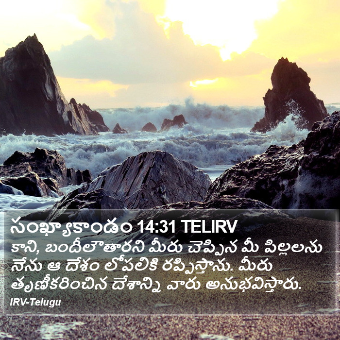 సంఖ్యాకాండం 14:31 TELIRV - కాని, బందీలౌతారని