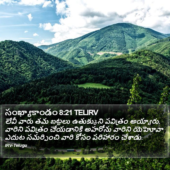 సంఖ్యాకాండం 8:21 TELIRV - లేవీ వారు తమ