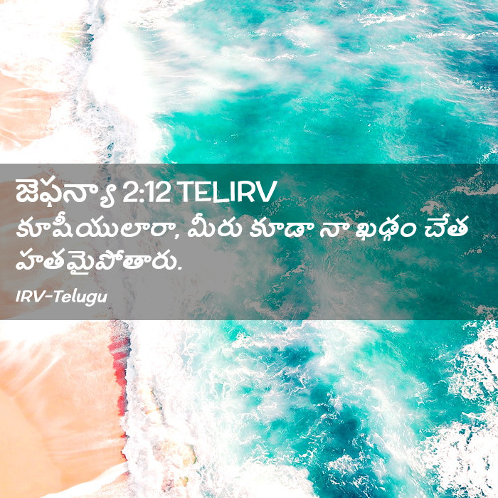 జెఫన్యా 2:12 TELIRV - కూషీయులారా, మీరు